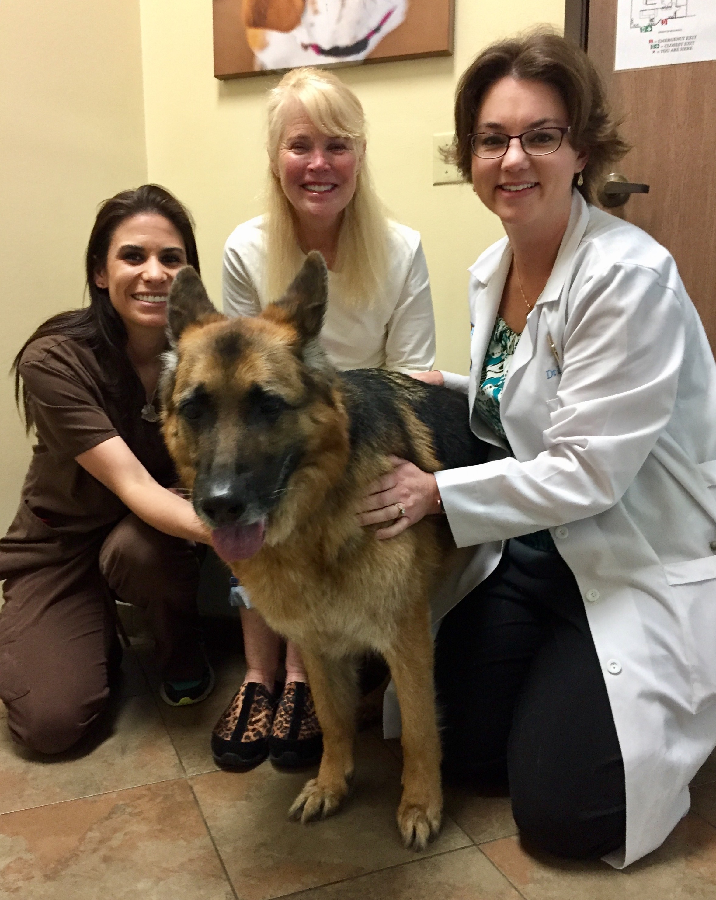 Sam-Currier-with-staff | moorparkvet.com